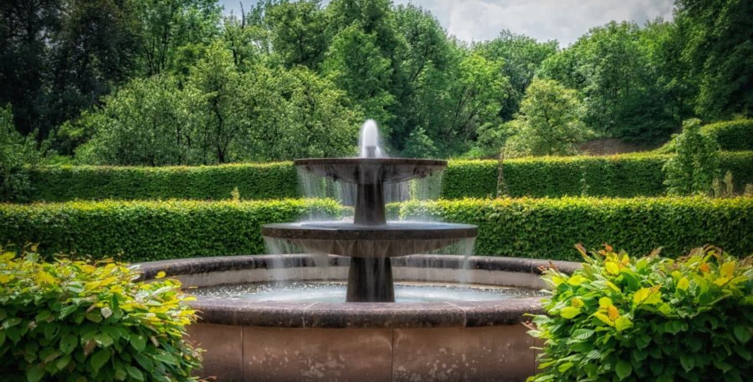 Backyard Water Features for Your Outdoor Living Space | Cacti